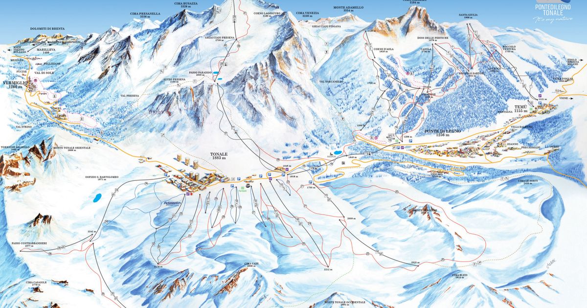 Tonale Piste Map | Ski Maps & Resort Info | PistePro